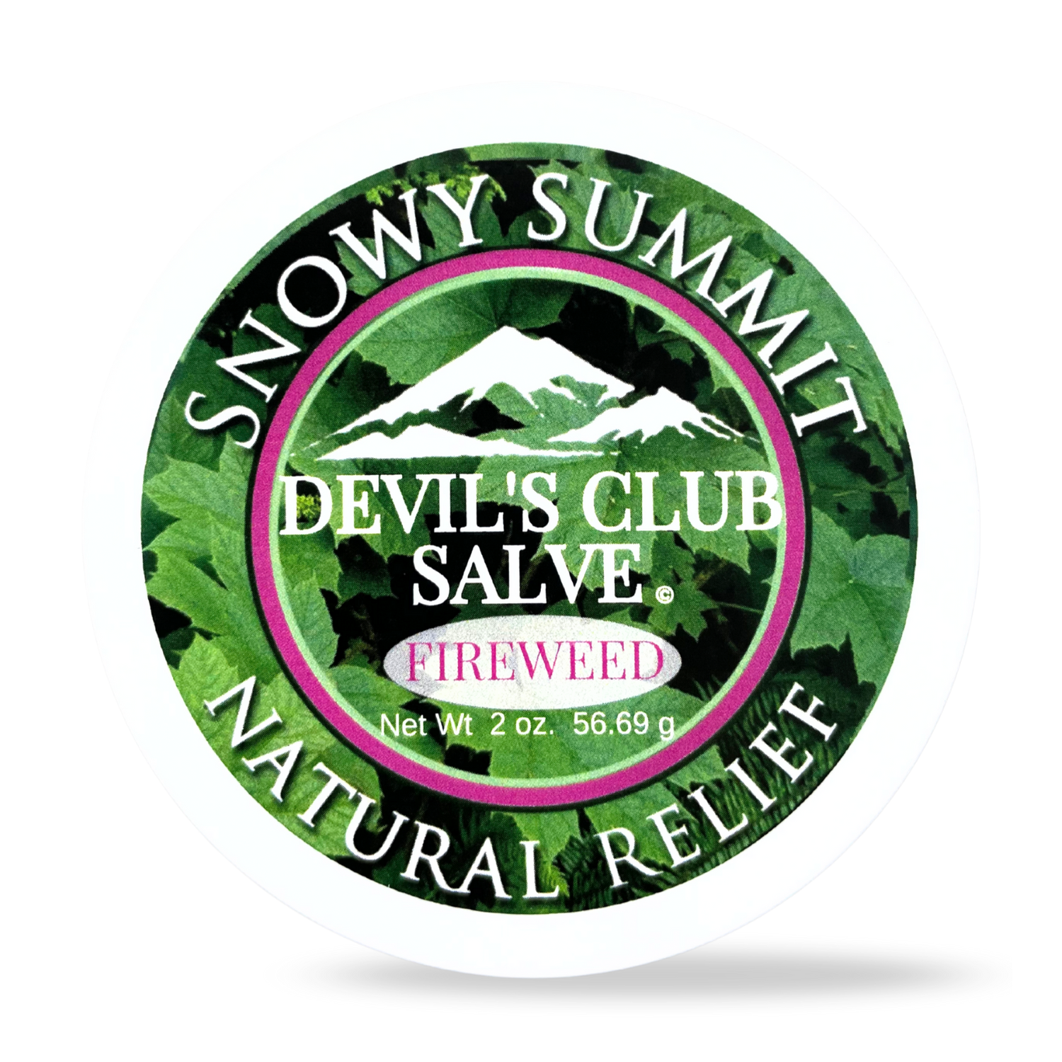 Devil's Club Salve Fireweed